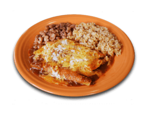 MEXICAN PLATES - El Pato